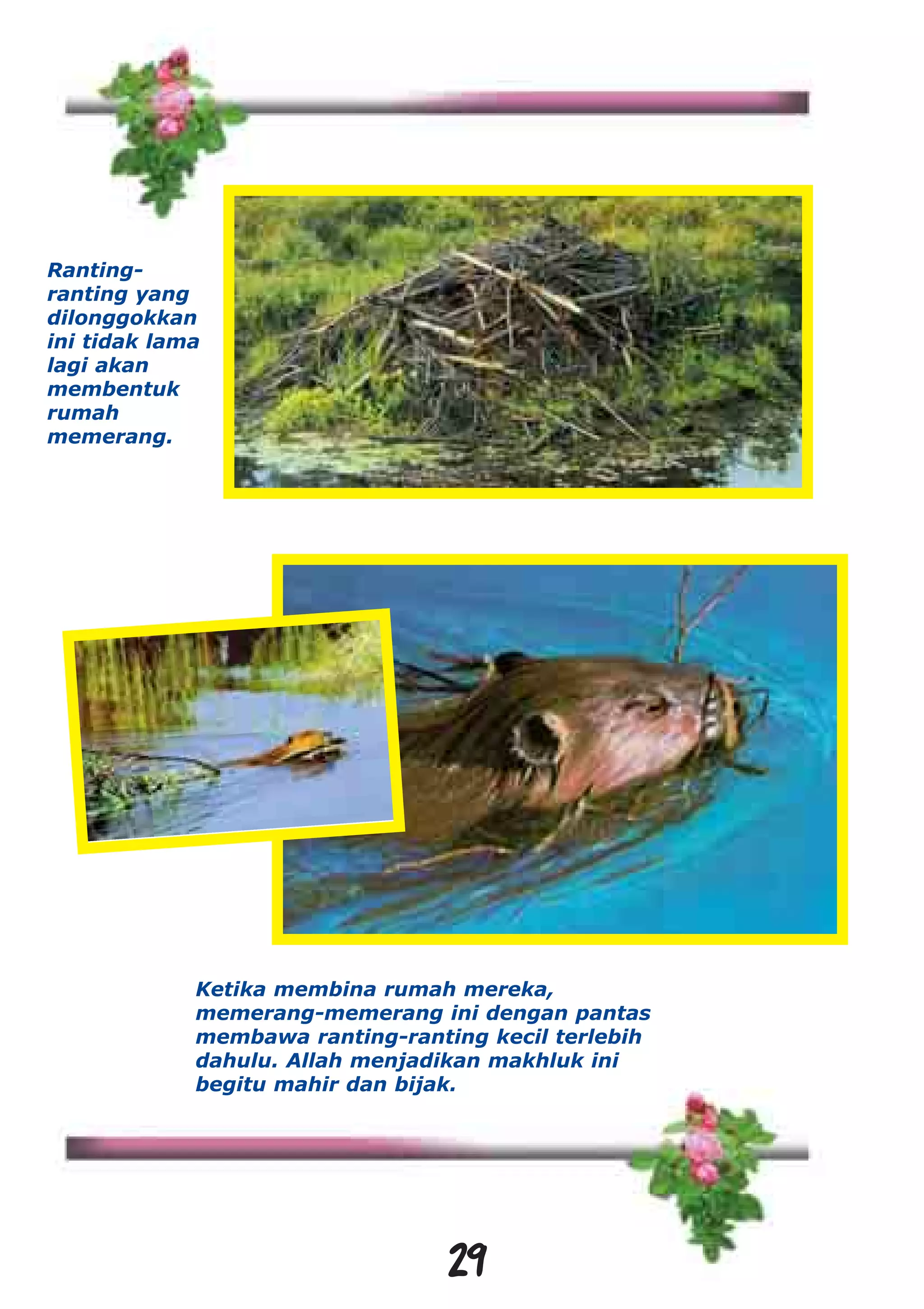 Memerang pembina empangan yang mahir. bahasa melayu | PDF