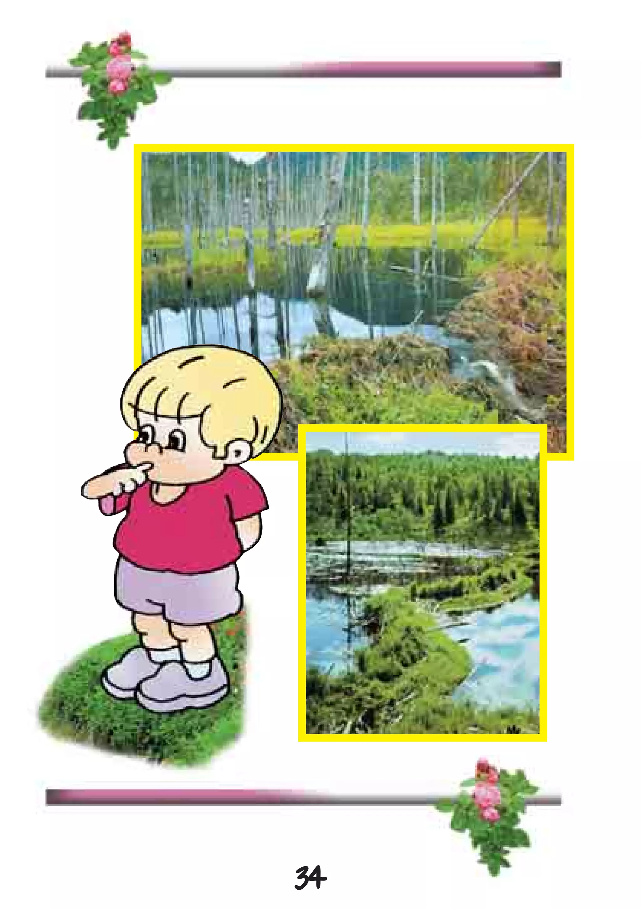 Memerang pembina empangan yang mahir. bahasa melayu | PDF