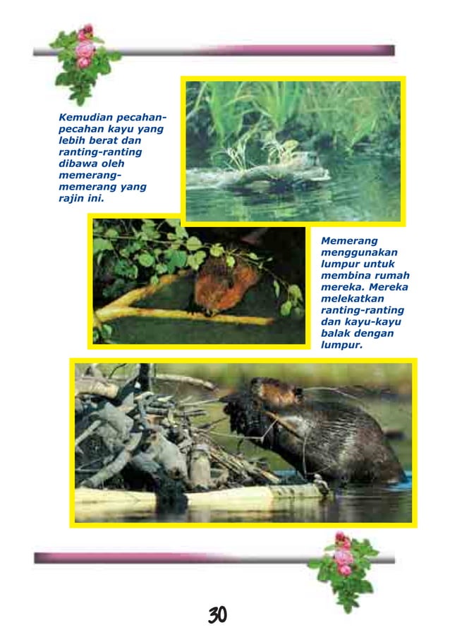 Memerang pembina empangan yang mahir. bahasa melayu | PDF