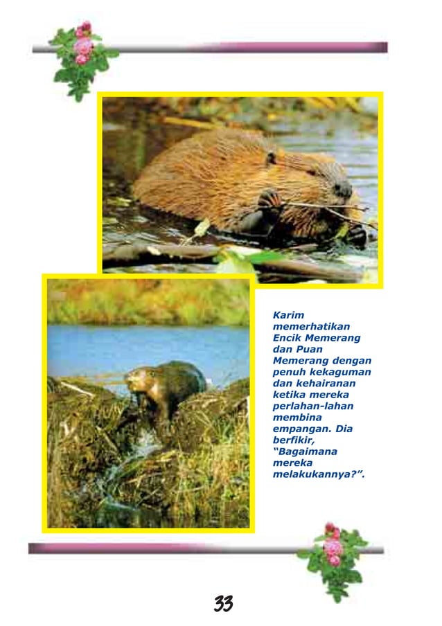 Memerang pembina empangan yang mahir. bahasa melayu | PDF