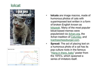 Memes | PPTX | Social Networking | Internet