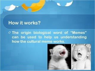 Memes up | PPT | Science