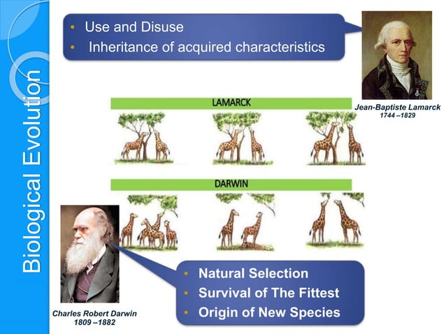 Memetic algorithms | PPTX