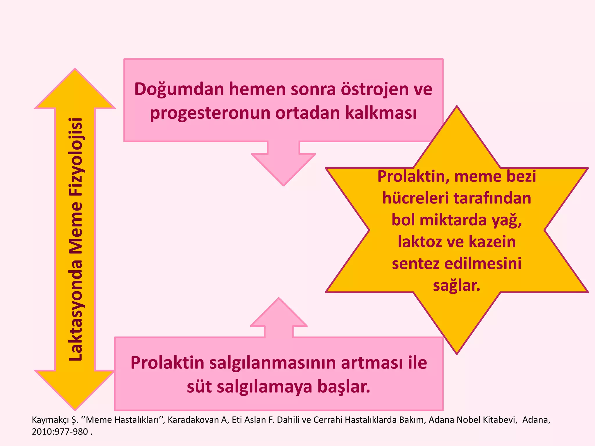 Meme ve aksillanın değerlendirilmesi.pptx