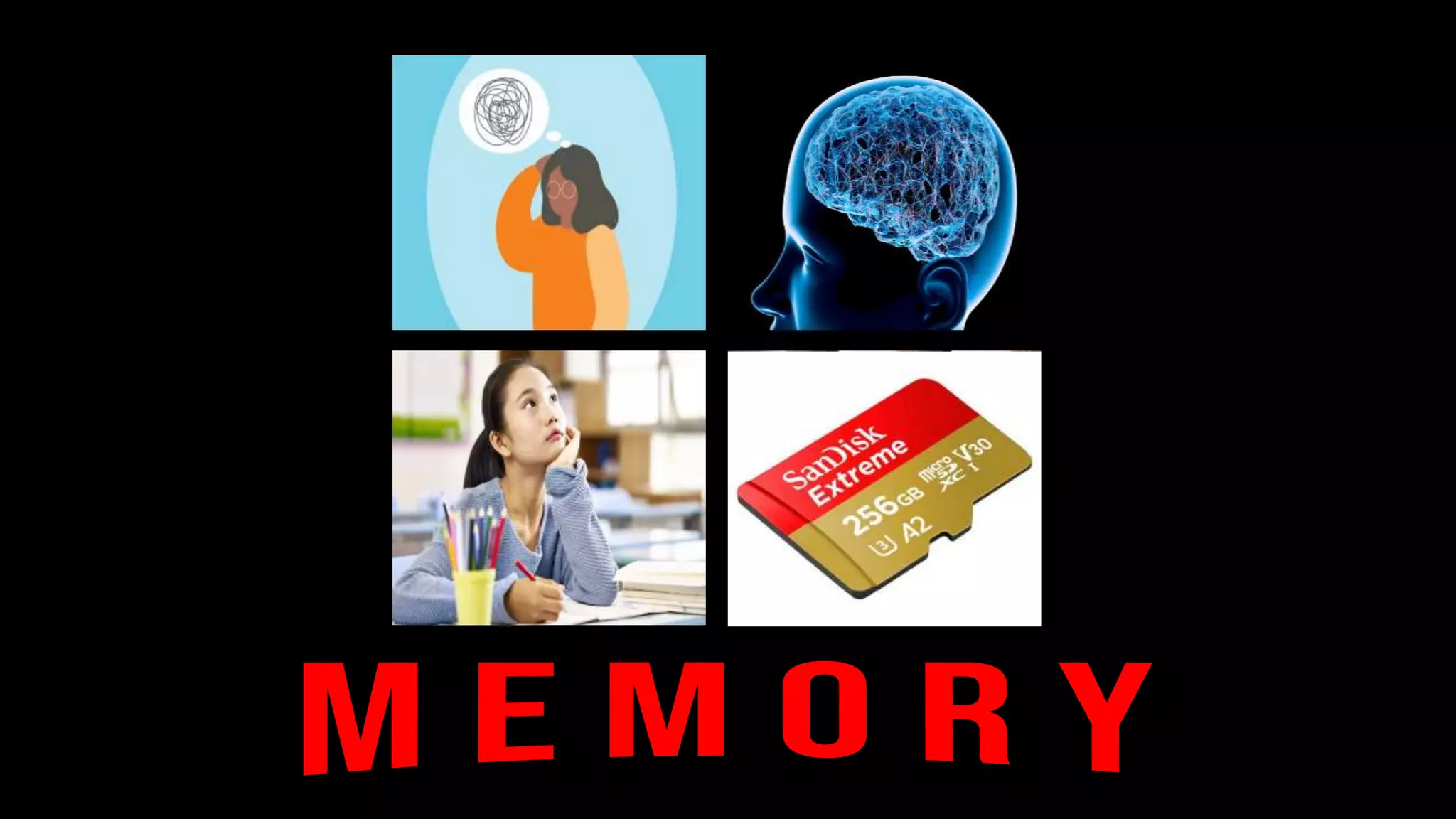 MEMOIR PPT.pptx
