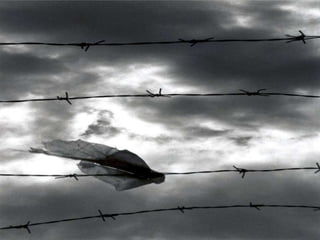 Memoria | PPTX