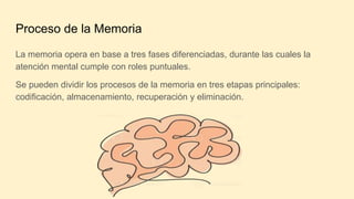 Memoria Humana | PPTX