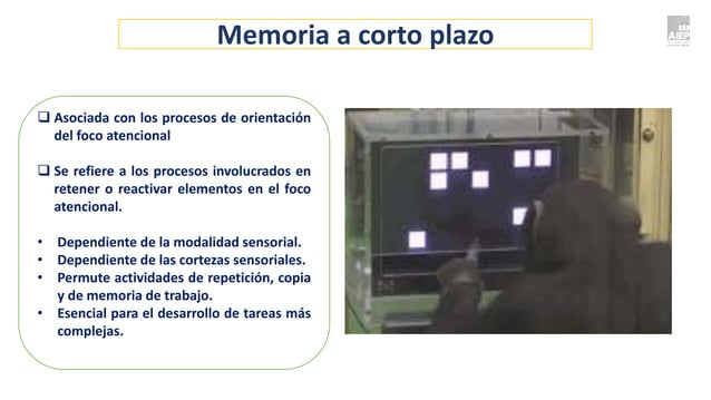 historia de la memoria, desde los modelos de tulving y alteraciones | PPT