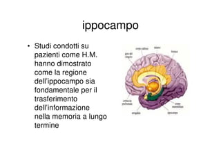 Memoria 2436339 | PDF