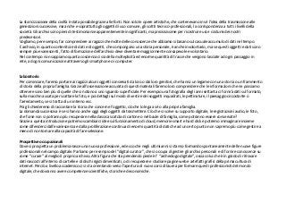 Renato Rinaldi e Andrea Collavino, Memoria di massa | PDF