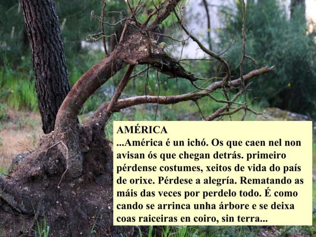 Memorias dun neno labrego | PPT