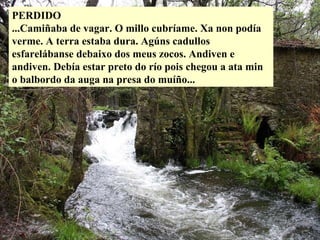 Memorias dun neno labrego | PPT