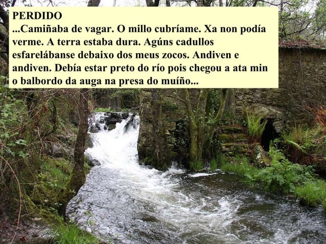 Memorias dun neno labrego | PPT