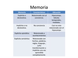 Fisiología: Memoria y aprendizaje | PPTX