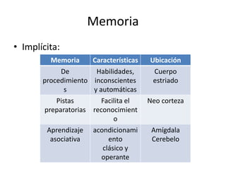 Fisiología: Memoria y aprendizaje | PPTX