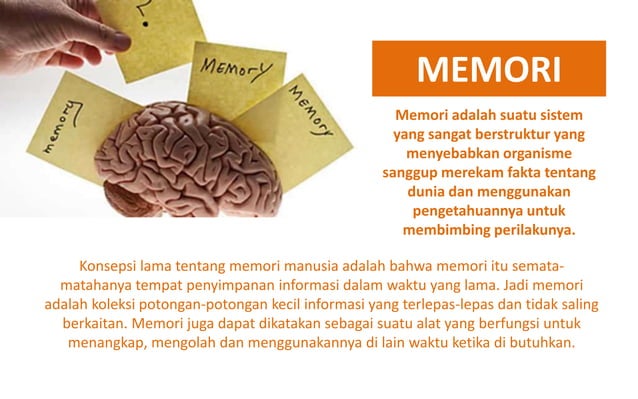 Memori dan Berpikir | PPT
