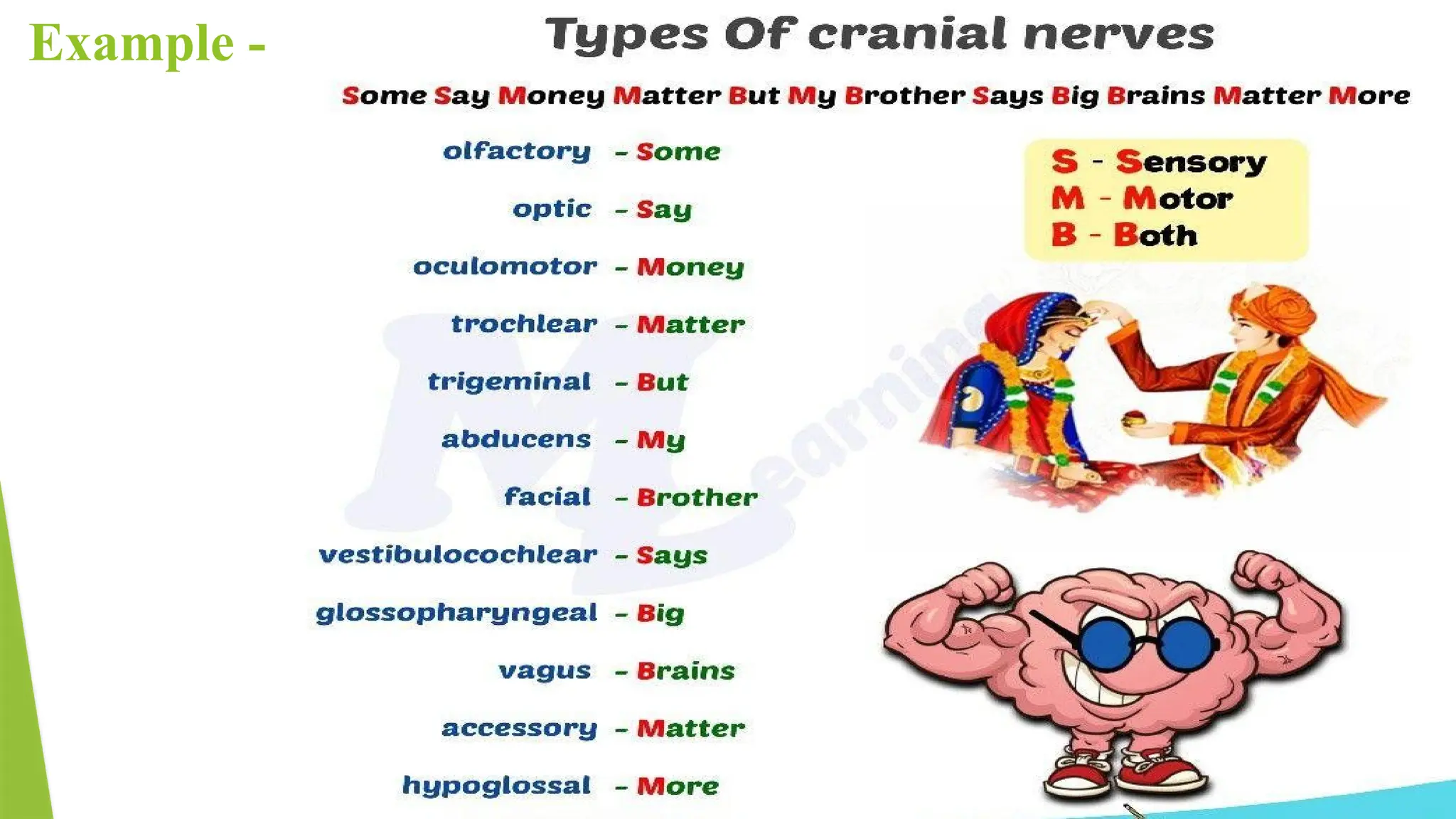 Memorization Techniques AND ITS TYPES .pptx