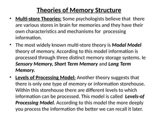 Everything to know about memory in psychology | PPTX