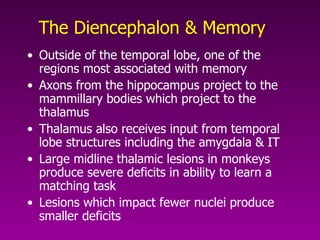 Memory | PPT