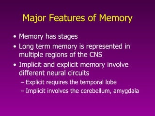 Memory | PPT