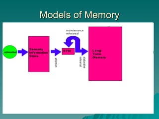 memory-111026122803-phpapp01.pdf