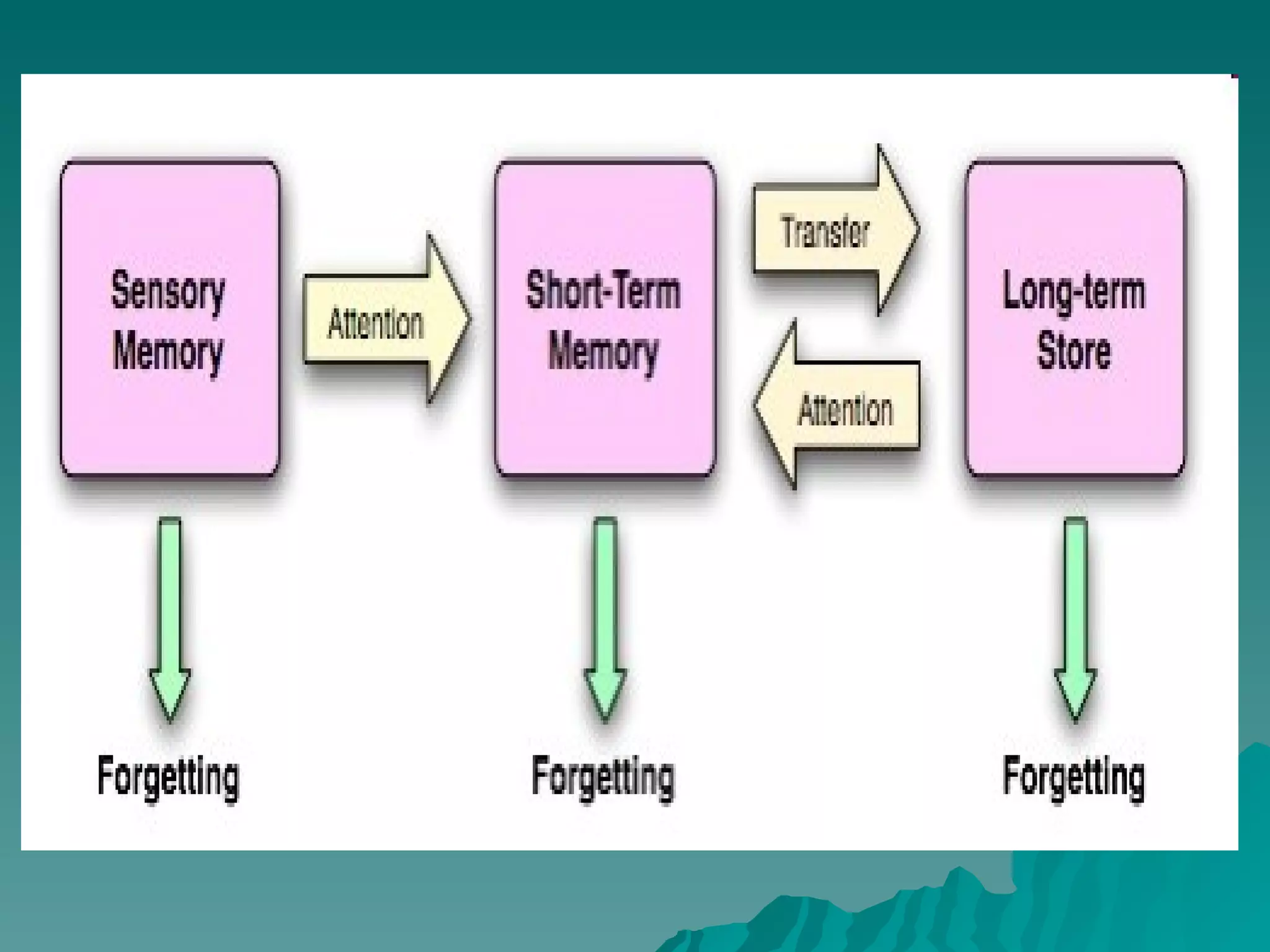 Memory | PPT