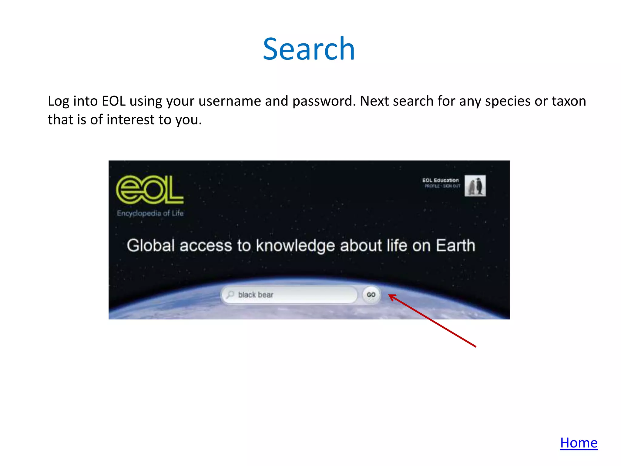 Creating an EOL Species Match Memory Game | PPT