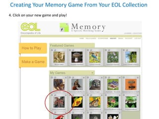 Creating an EOL Species Match Memory Game | PPT