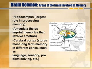 Memory | PPT