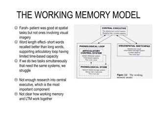Memory | PPT