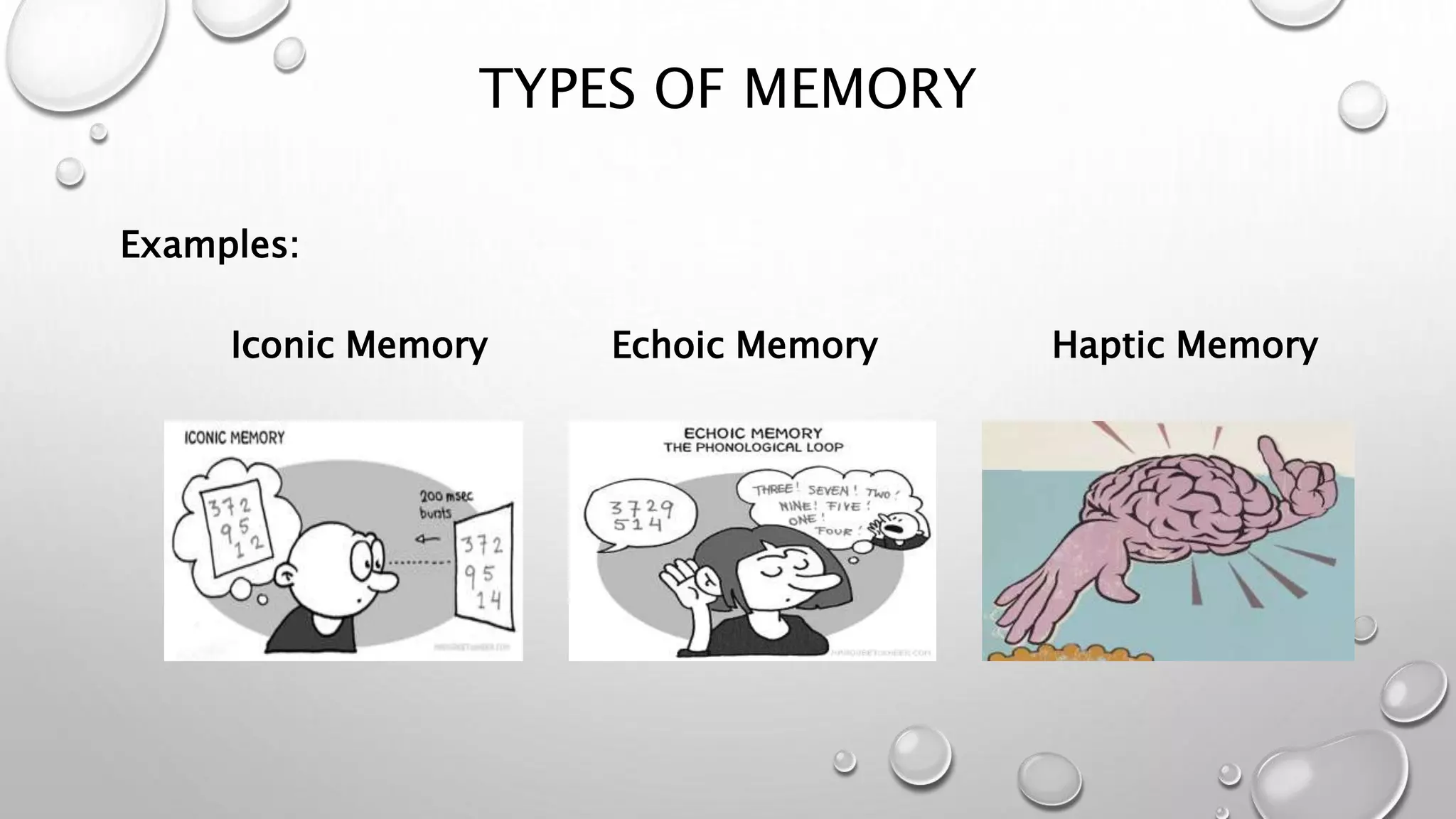 Memory,intelligence,AI and Web Design | PPT