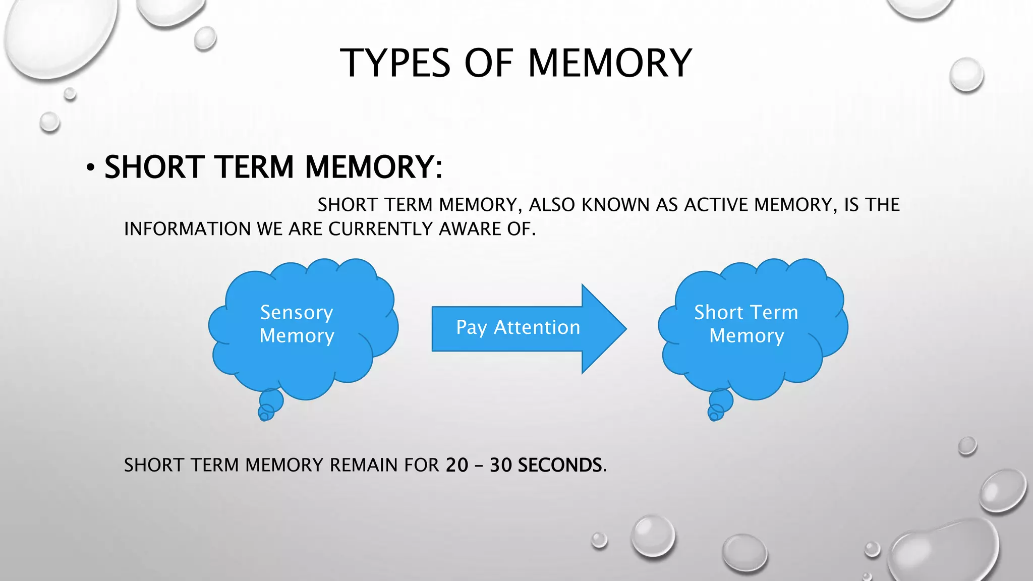 Memory,intelligence,AI and Web Design | PPT