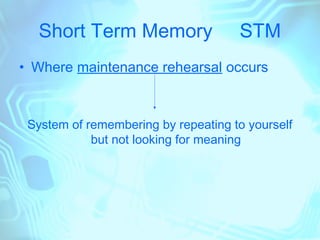 Memory | PPT
