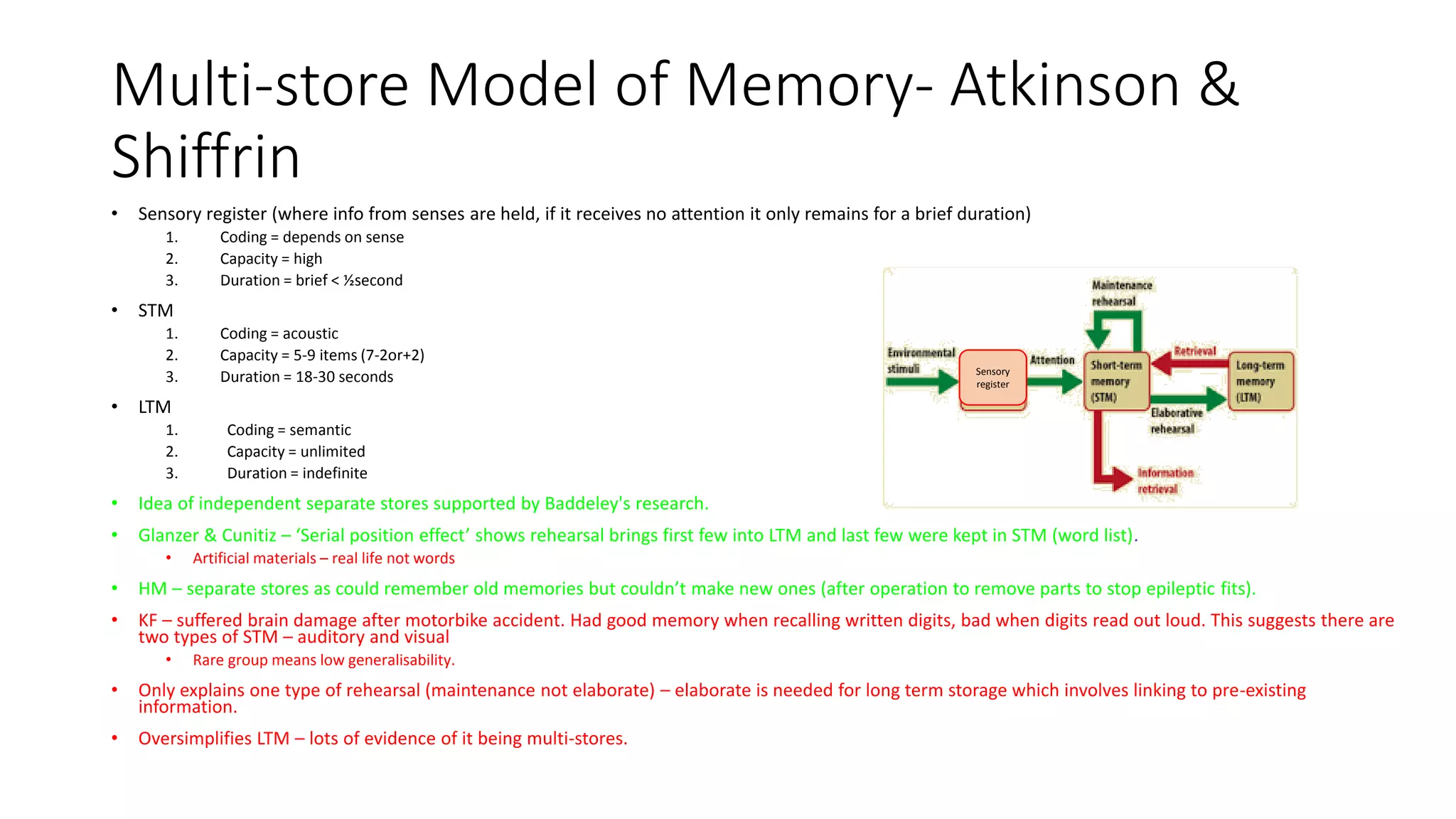 Memory - AQA A Level Psychology Revision | PPTX