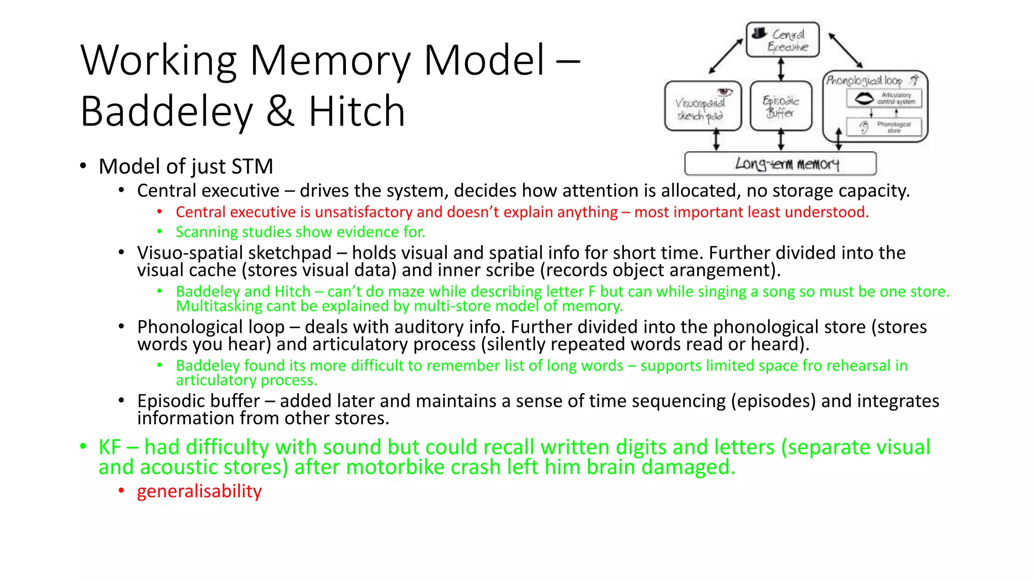 Memory - AQA A Level Psychology Revision | PPTX