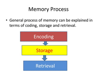 Memory | PPT
