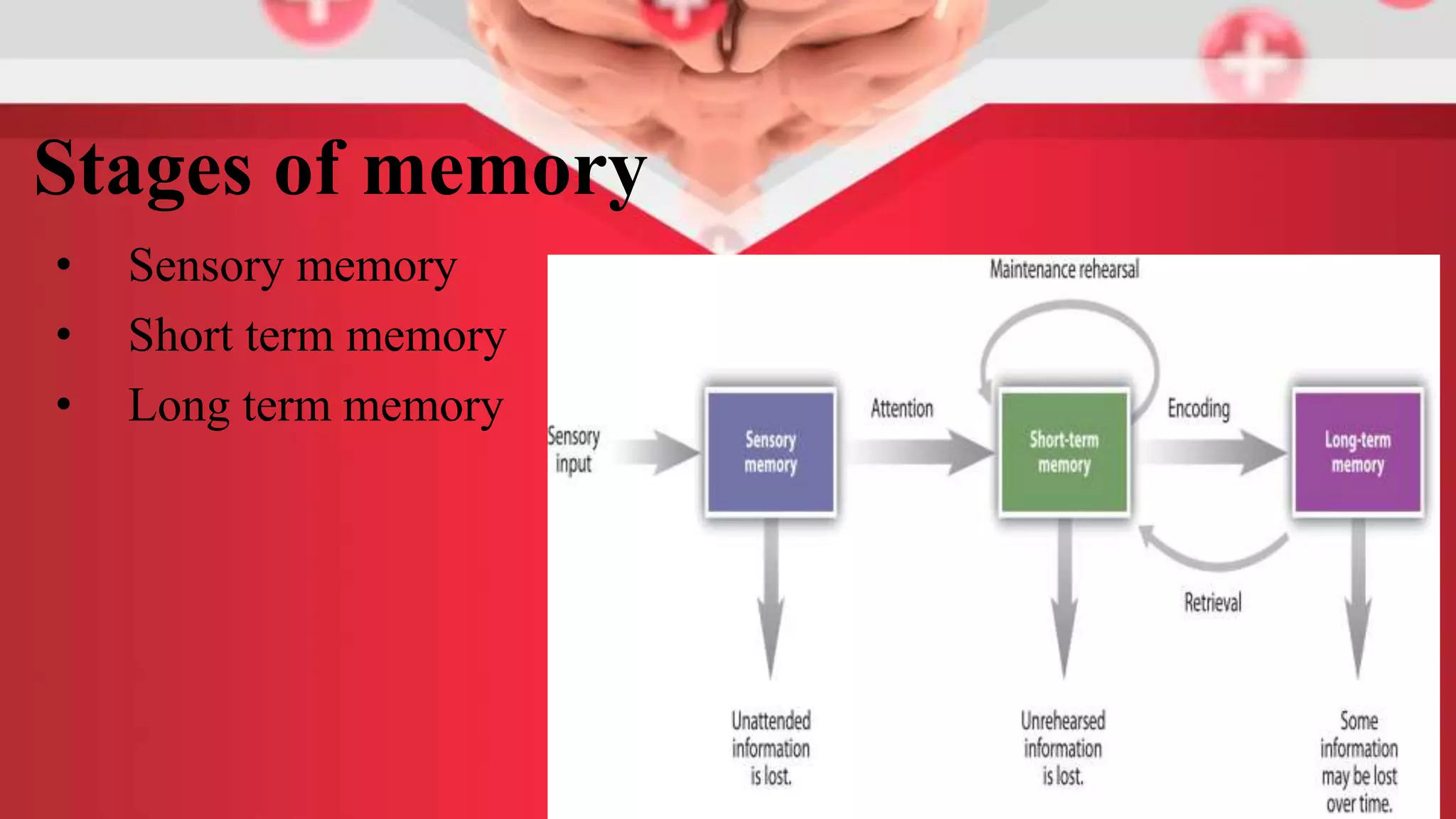 Memory and its types | PPTX