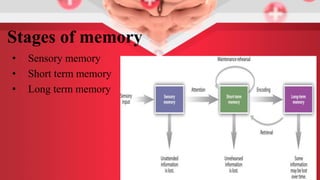 Memory and its types | PPTX