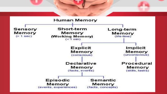 Memory and its types | PPTX | Data Storage and Warehousing | Computing