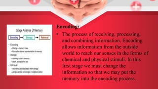 Memory and its types | PPTX