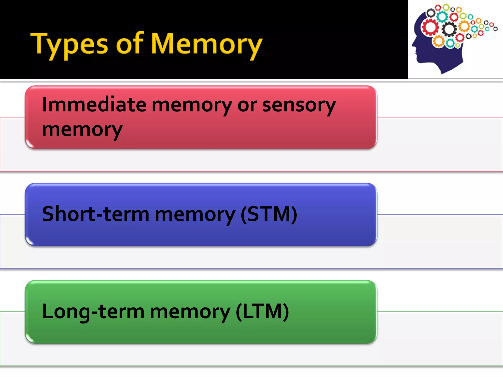 Unit 3 Cognitive process / Memory | PDF