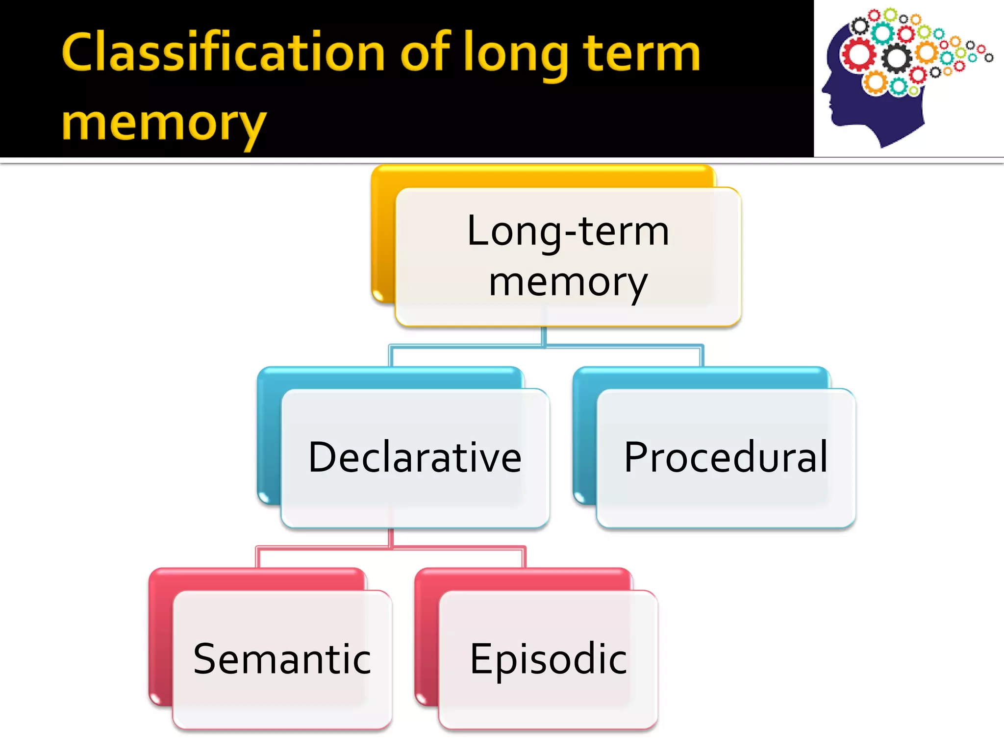 Unit 3 Cognitive process / Memory | PDF