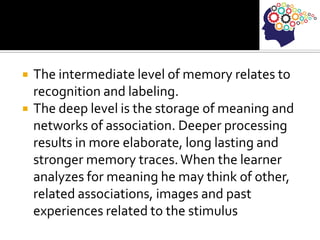 Unit 3 Cognitive process / Memory | PDF