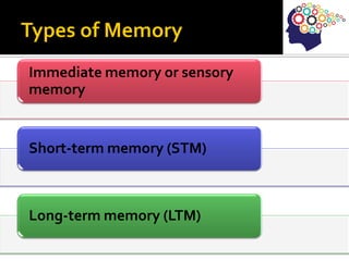 Unit 3 Cognitive process / Memory | PDF