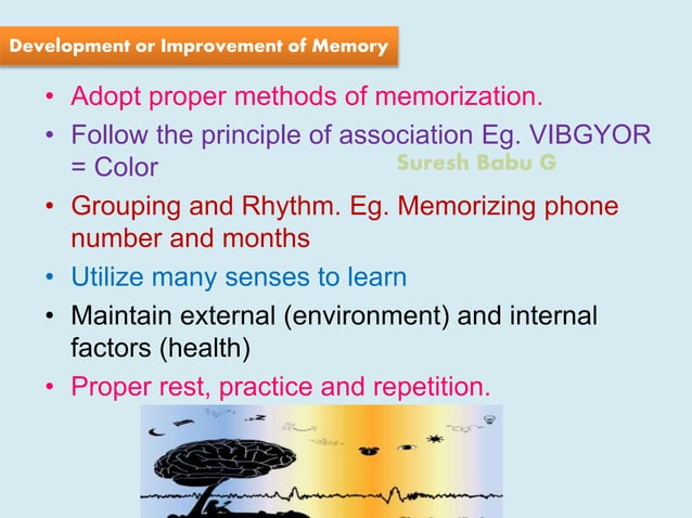 Memory - Definition-Types of Memory - factors influencing memory and ...