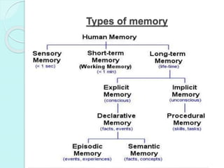 Memory | PPTX