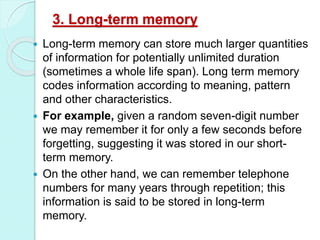 Short Term Memory Examples