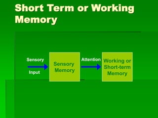 All about Memory.ppt
