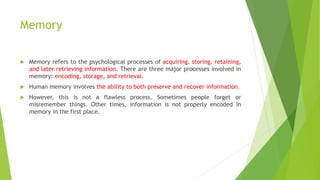 memory.pptx
