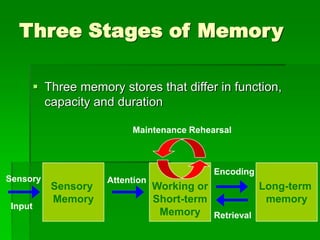 Memory.ppt